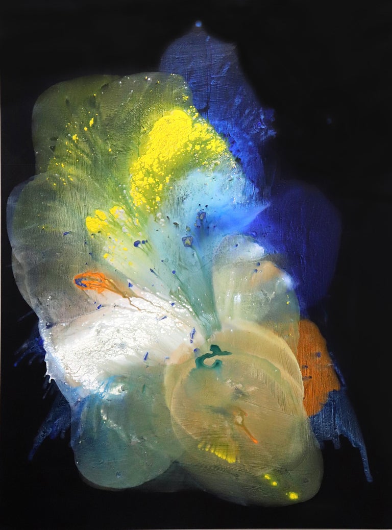 Clara Berta - Explosive Dreams - Large Original Artwork For Sale at 1stDibs