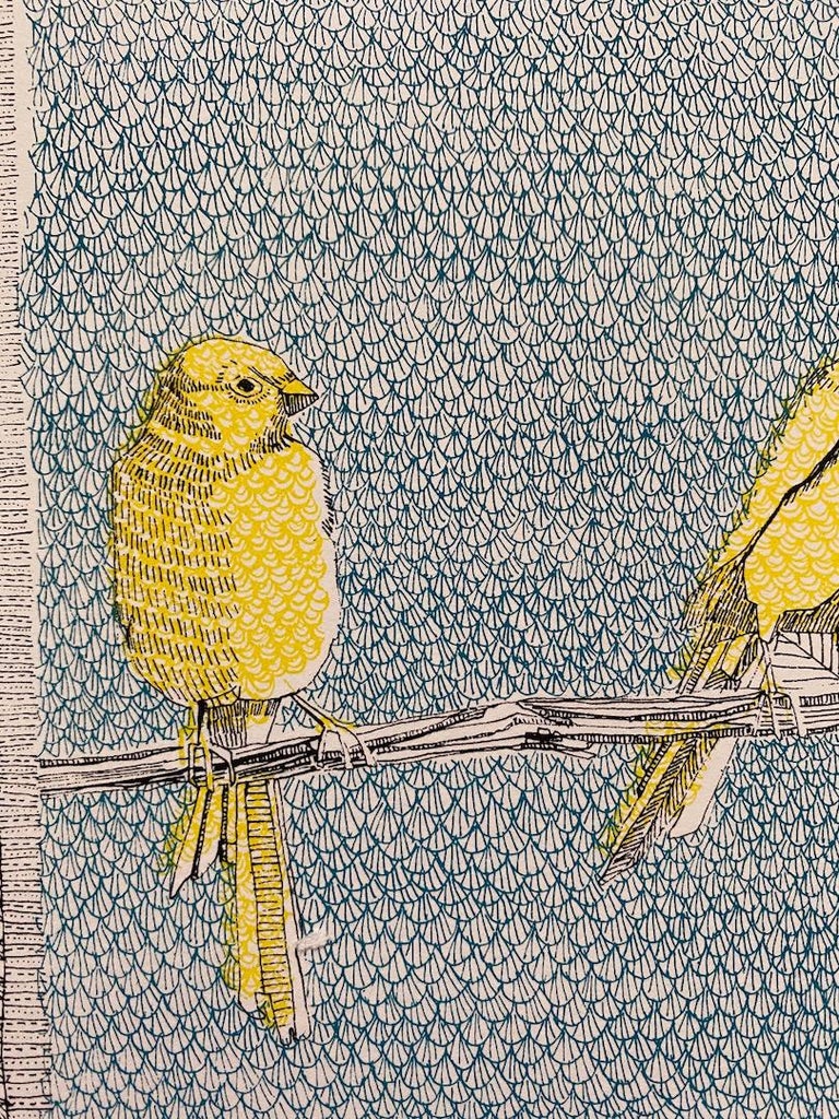 Clare Halifax - Clare Halifax, C Is for Canary, Silkscreen Print, Bird ...