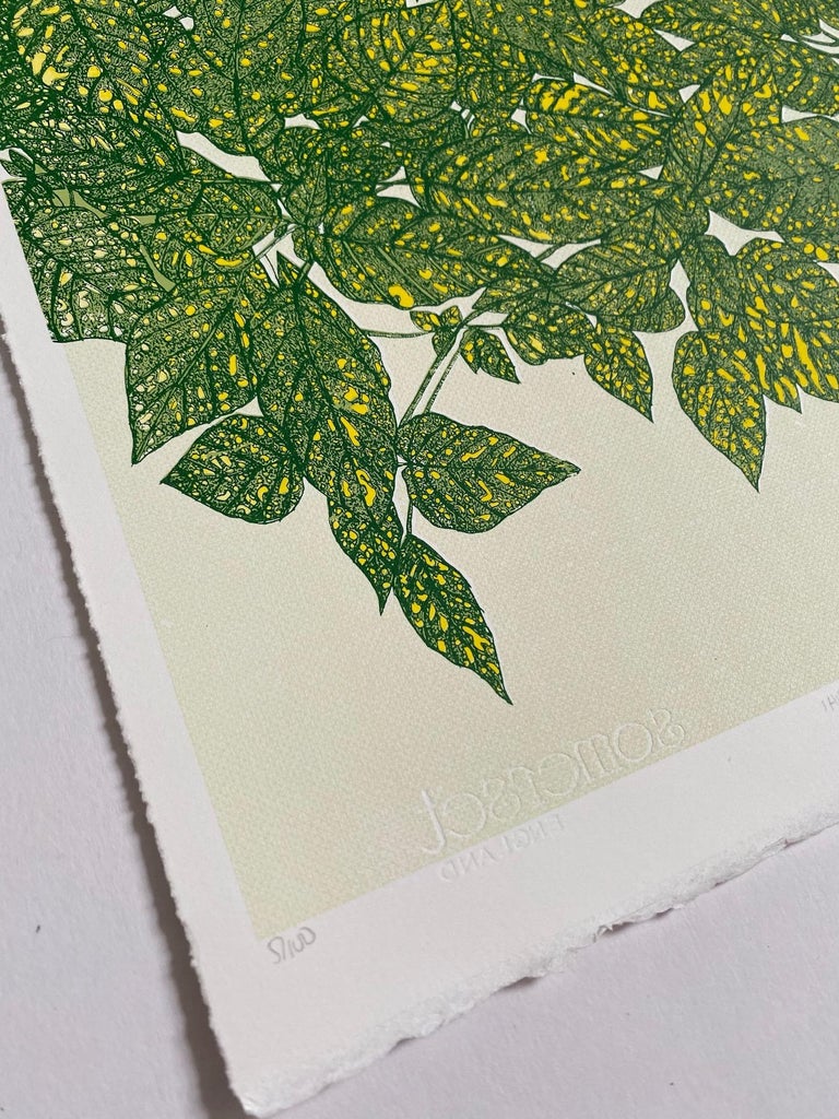 Clare Halifax - Clare Halifax, Hello Yellow (Green), Bright Art ...