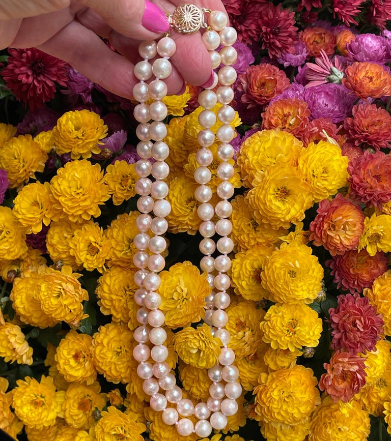 Classic Cultured Japanese Pearl White Double Strand Vintage Necklace ...