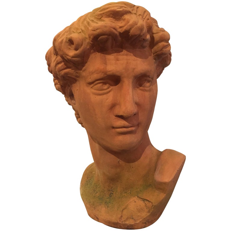 Classic Italian Terracotta Bust of David For Sale at 1stDibs