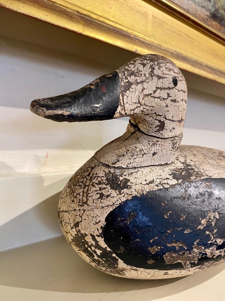 Classic Maine Eider Drake Decoy, circa 1920s For Sale at 1stDibs