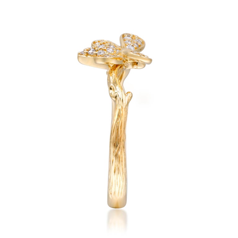 Gin and Grace in collaboration with Smithsonian Museum Collection ...