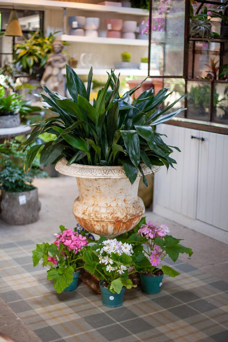 Classic White Garden Iron Urn For Sale at 1stDibs | white garden urn