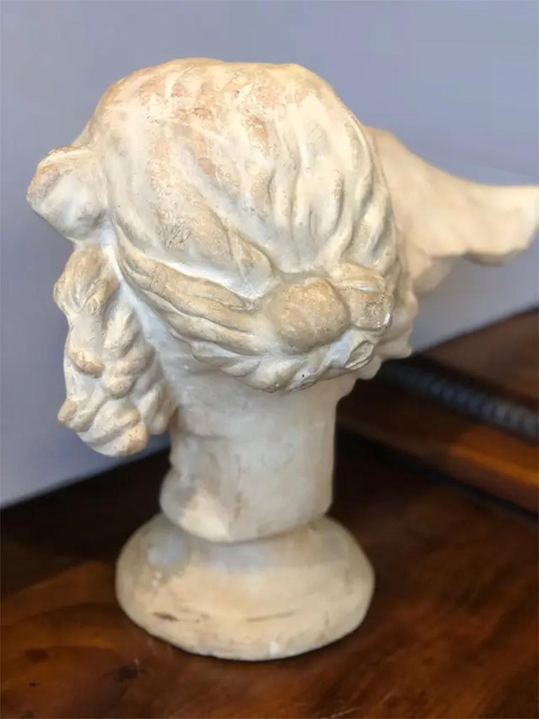 Classic Winged Head Plaster Sculpture at 1stDibs