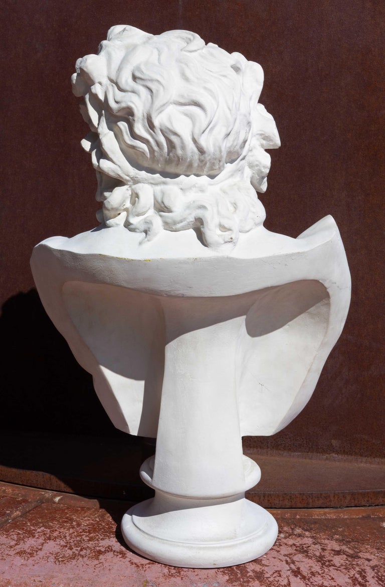 Classical Renaissance Bust of a Man For Sale at 1stDibs