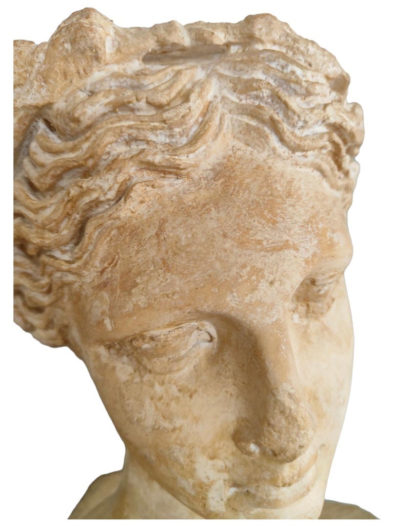 CLASSICAL ROMAN HEAD 20th Century For Sale at 1stDibs
