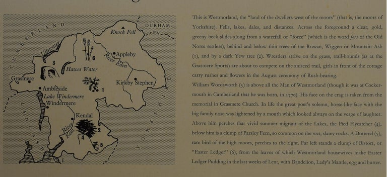 Claude Harrison - Claude Harrison Shell Guide to Westmoreland travel ...