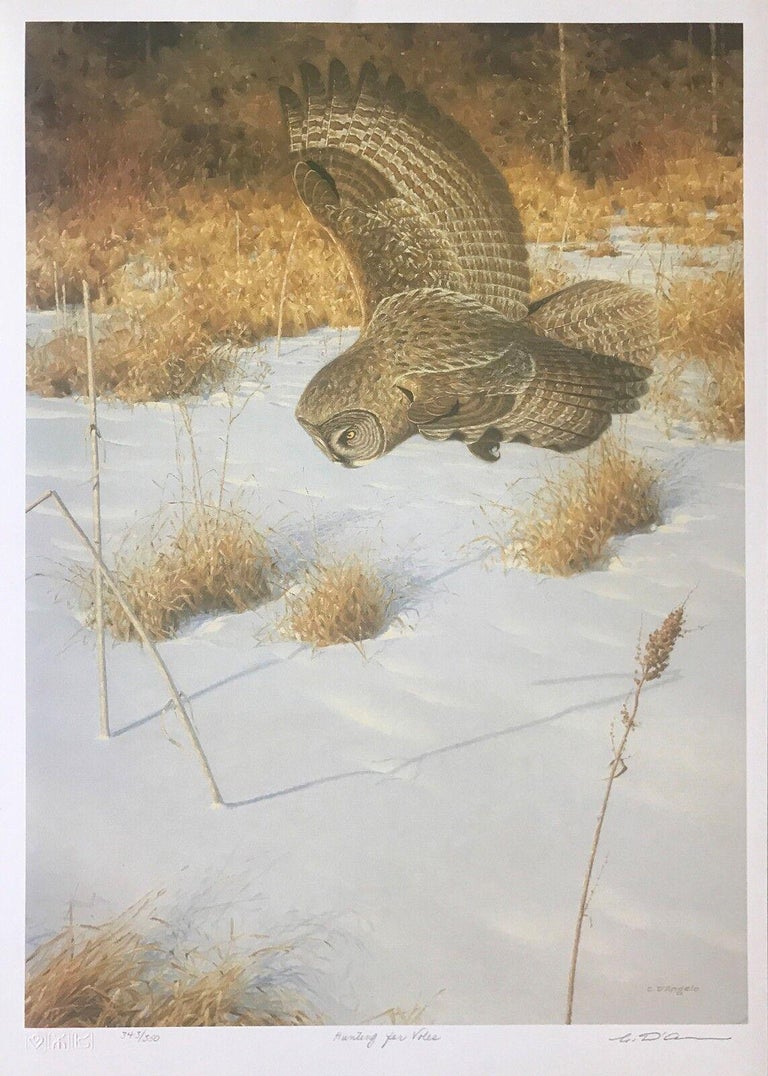 Claudio D'Angelo - HUNTING FOR VOLES For Sale at 1stDibs