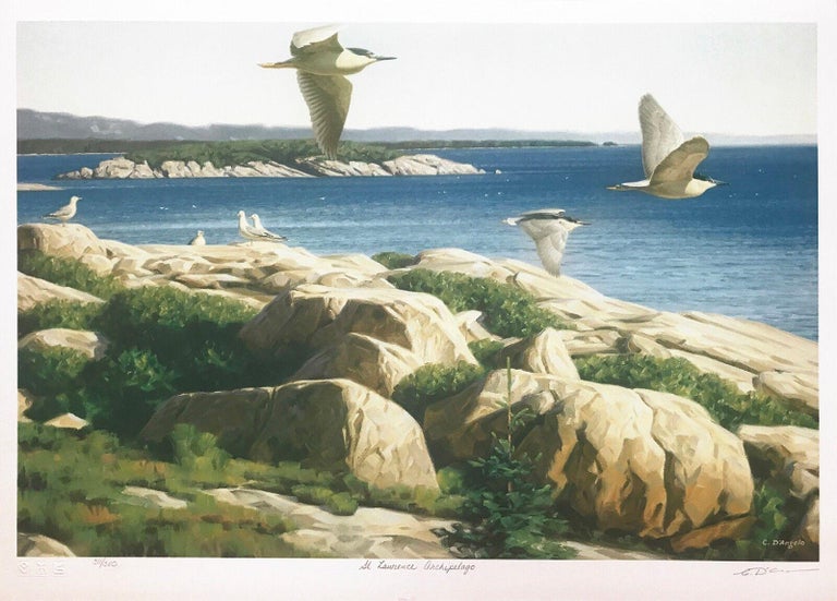 Claudio D'Angelo - ST. LAWRENCE ARCHIPELAGO For Sale at 1stDibs