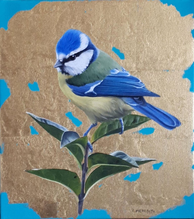 Clive Meredith - Blue Tit 2 at 1stDibs