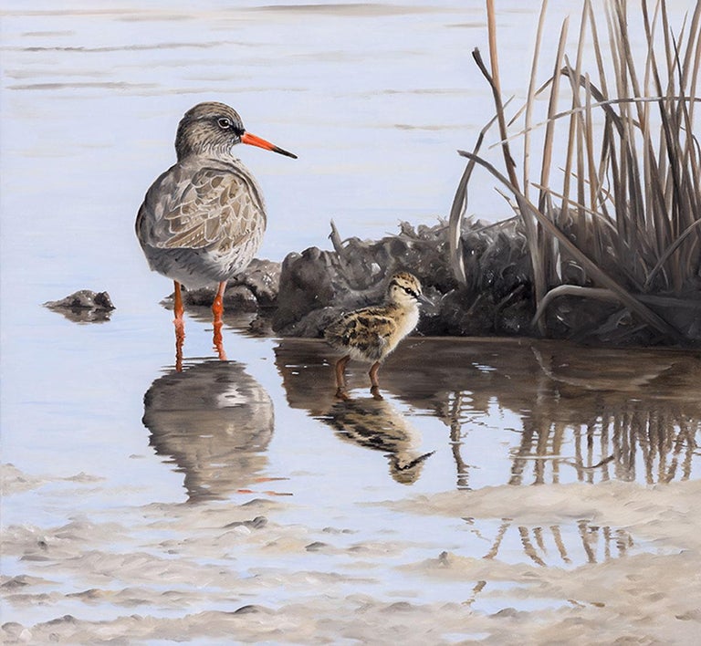Clive Meredith - Redshank and Chick - oil redshank bird animal ...
