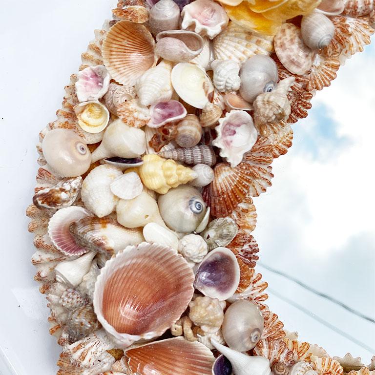 seashell border mirror