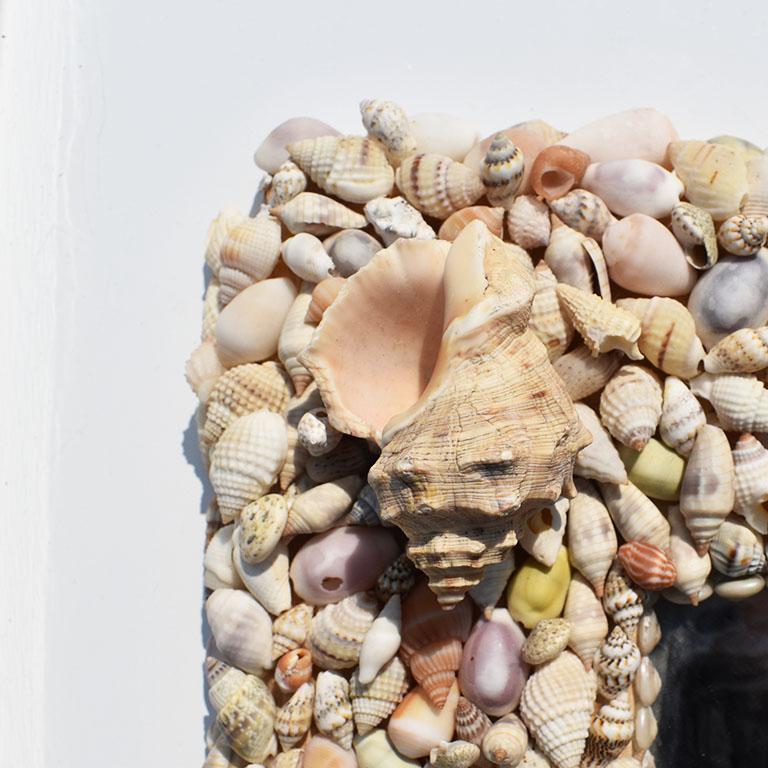 Coastal Rectangular Sea Shell Encrusted Wall Mirror For Sale at 1stDibs