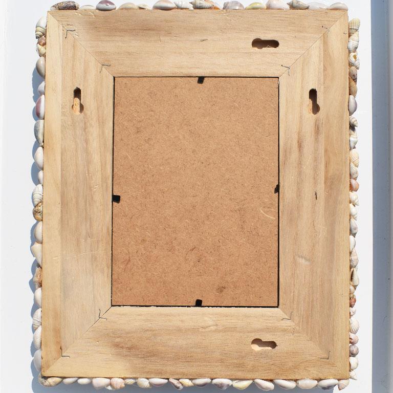 Coastal Rectangular Sea Shell Encrusted Wall Mirror For Sale at 1stDibs