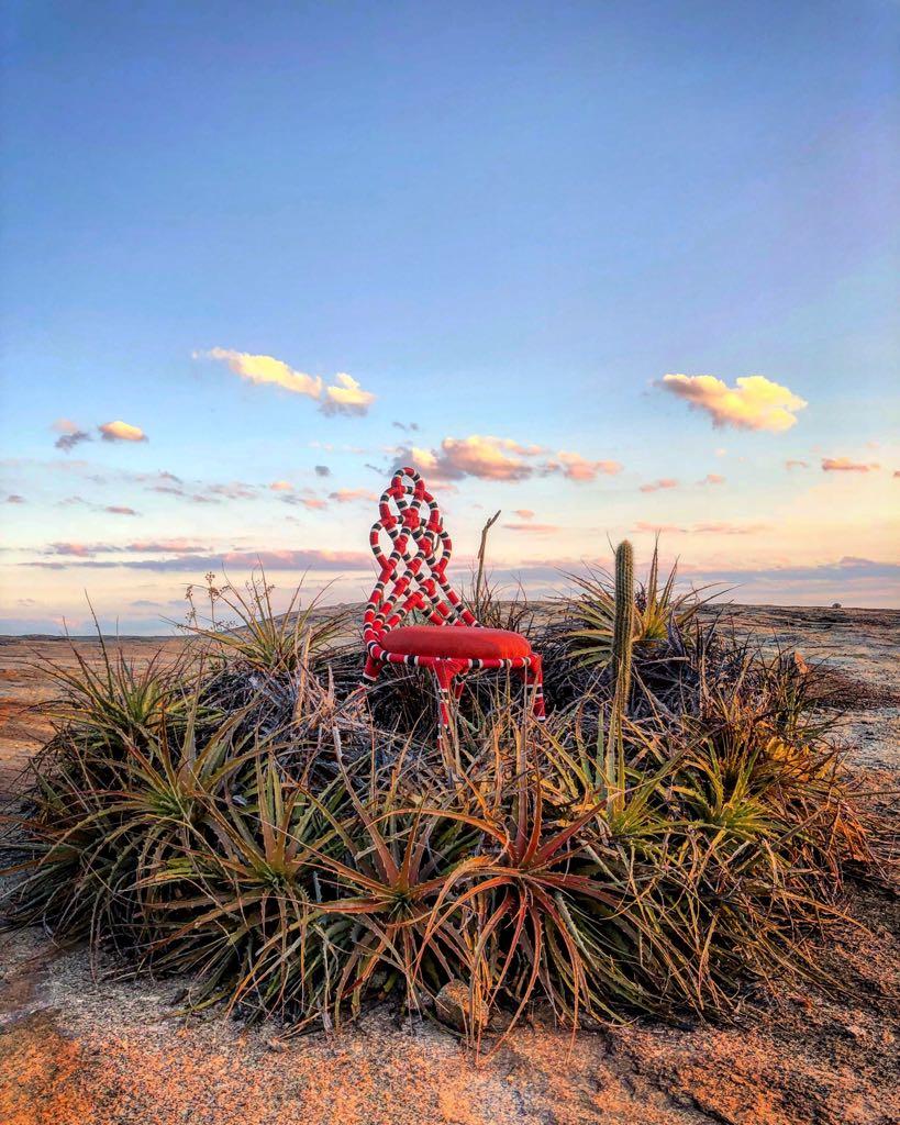 Cobra Coral Chair, Available in NY at 1stDibs