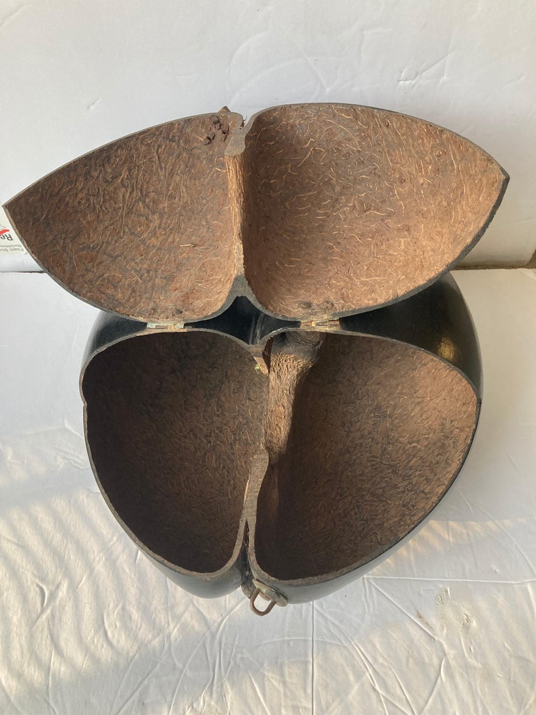 Coco de Mer, Ebony Box, Art, Decorative Sculpture, Late 19th/Early 20th ...