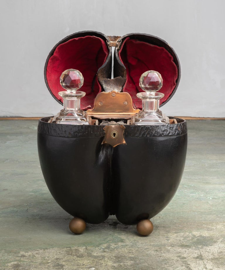 Coco De Mer Liquor Decanters, England, 19th Century For Sale at 1stDibs