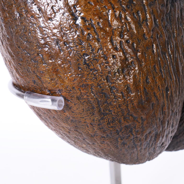 Coco de Mer on Stand For Sale at 1stDibs