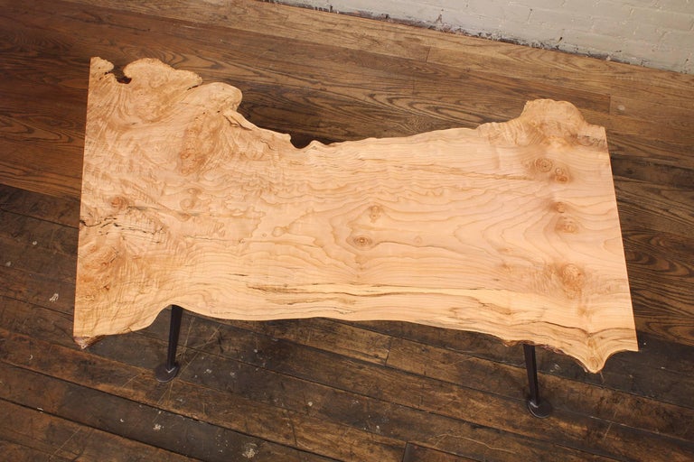 Coffee Table Free-Form Live Edge Maple Burl with Steel Legs at 1stDibs ...