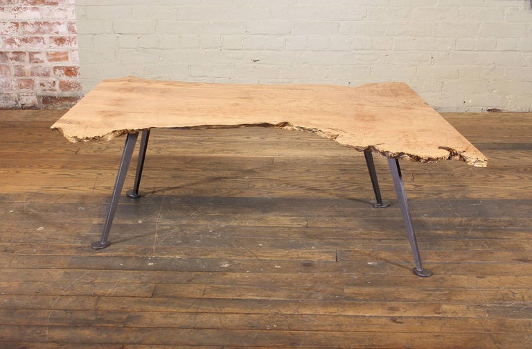 Coffee Table Free-Form Live Edge Maple Burl with Steel Legs at 1stDibs ...
