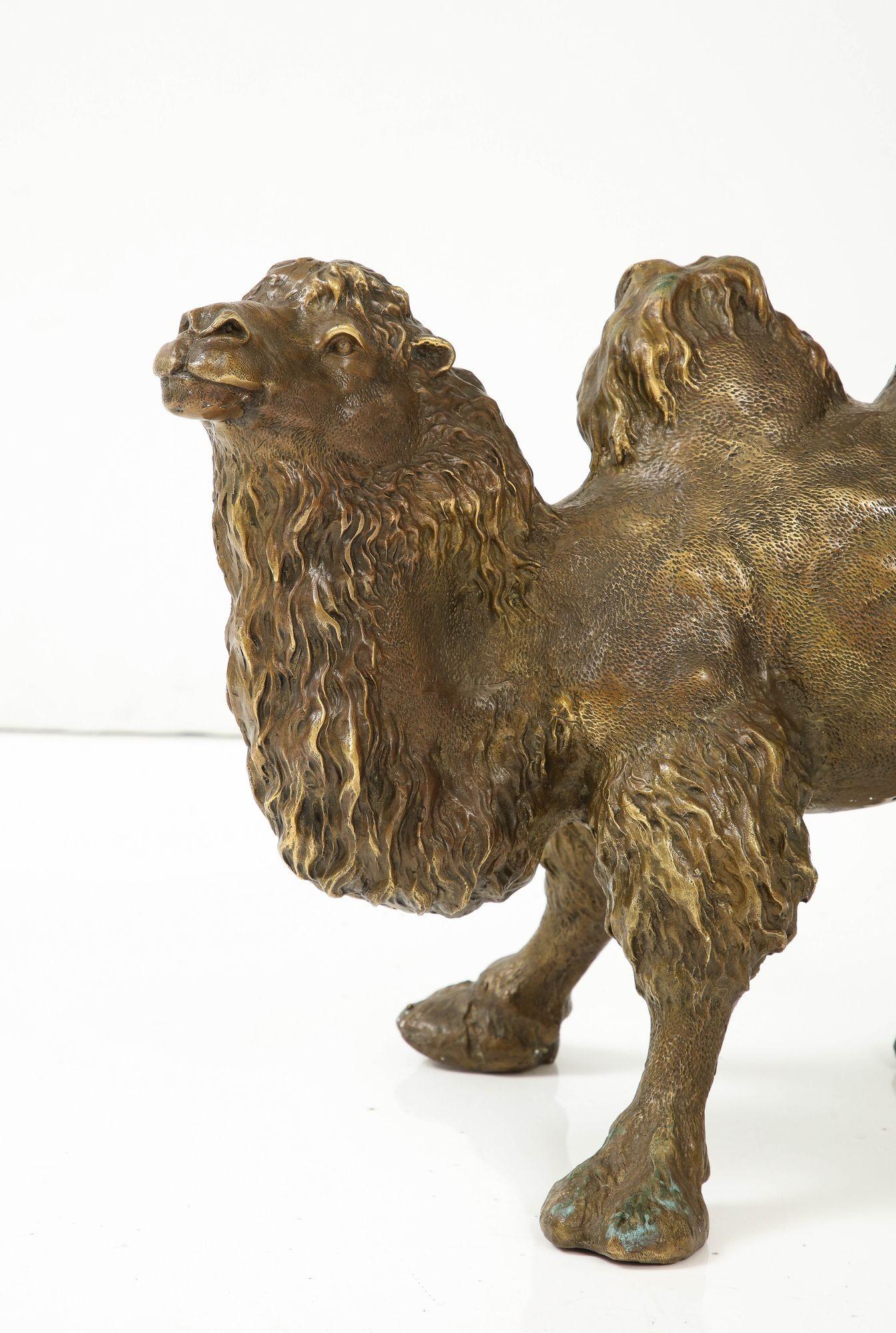 Cold Cast Bronze Camel, French, 20th Century For Sale at 1stDibs