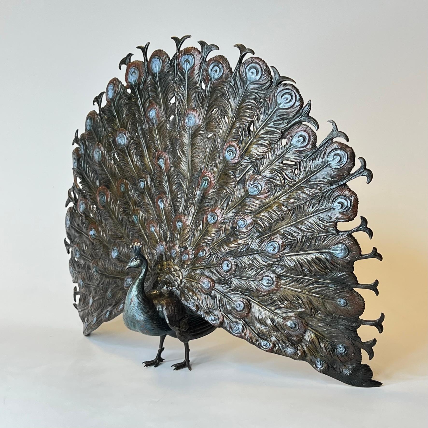Cold-Painted Bronze Peacock Sculpture by Franz Bergman at 1stDibs
