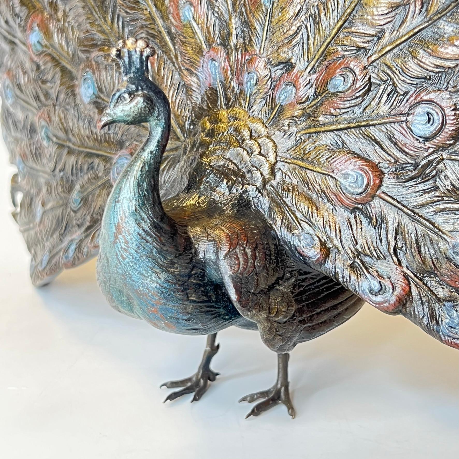 Cold-Painted Bronze Peacock Sculpture by Franz Bergman at 1stDibs
