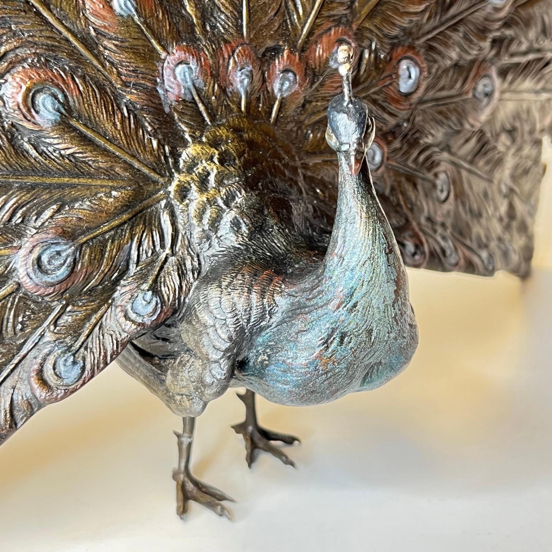 Cold-Painted Bronze Peacock Sculpture by Franz Bergman at 1stDibs
