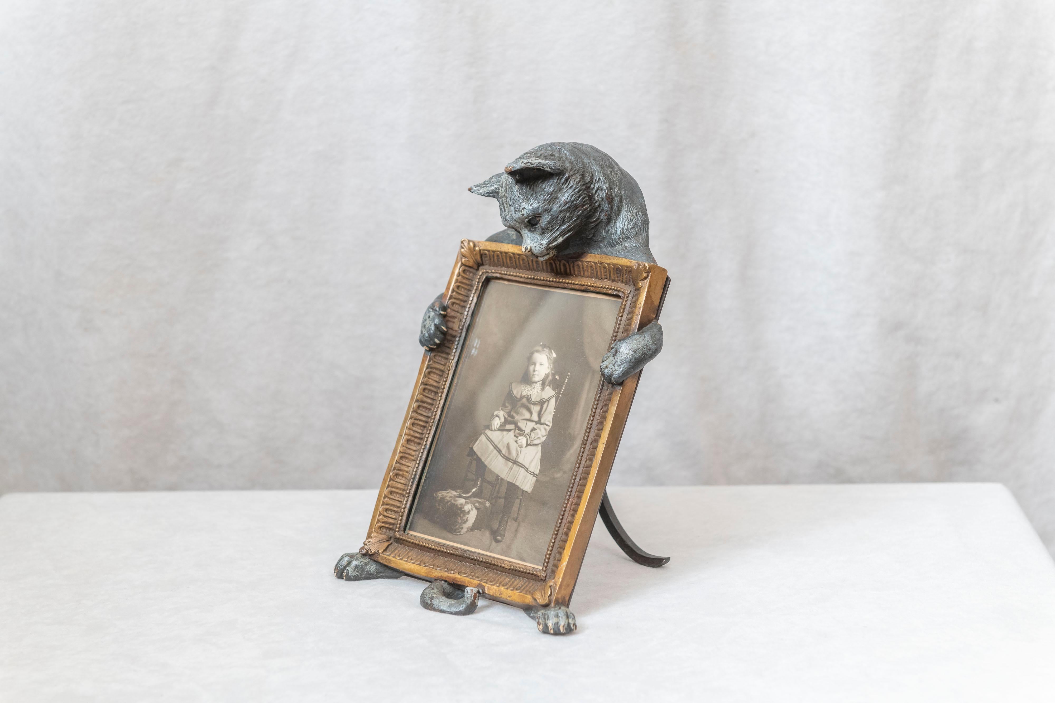 Cold Painted Vienna Bronze Figure of a Cat Holding a Picture Frame ...