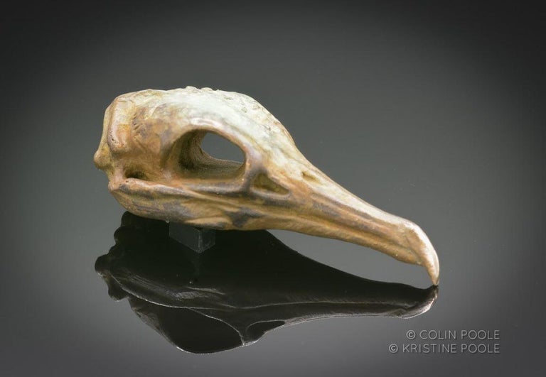 Colin & Kristine Poole - "Cormorant Talisman Skull" Bronze Sculpture at ...