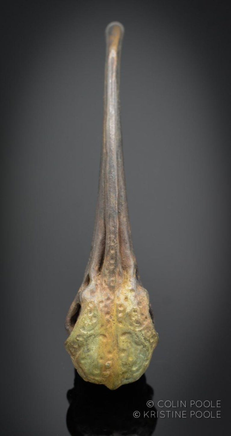 Colin & Kristine Poole - "Ibis Talisman Skull" Bronze Sculpture at 1stDibs