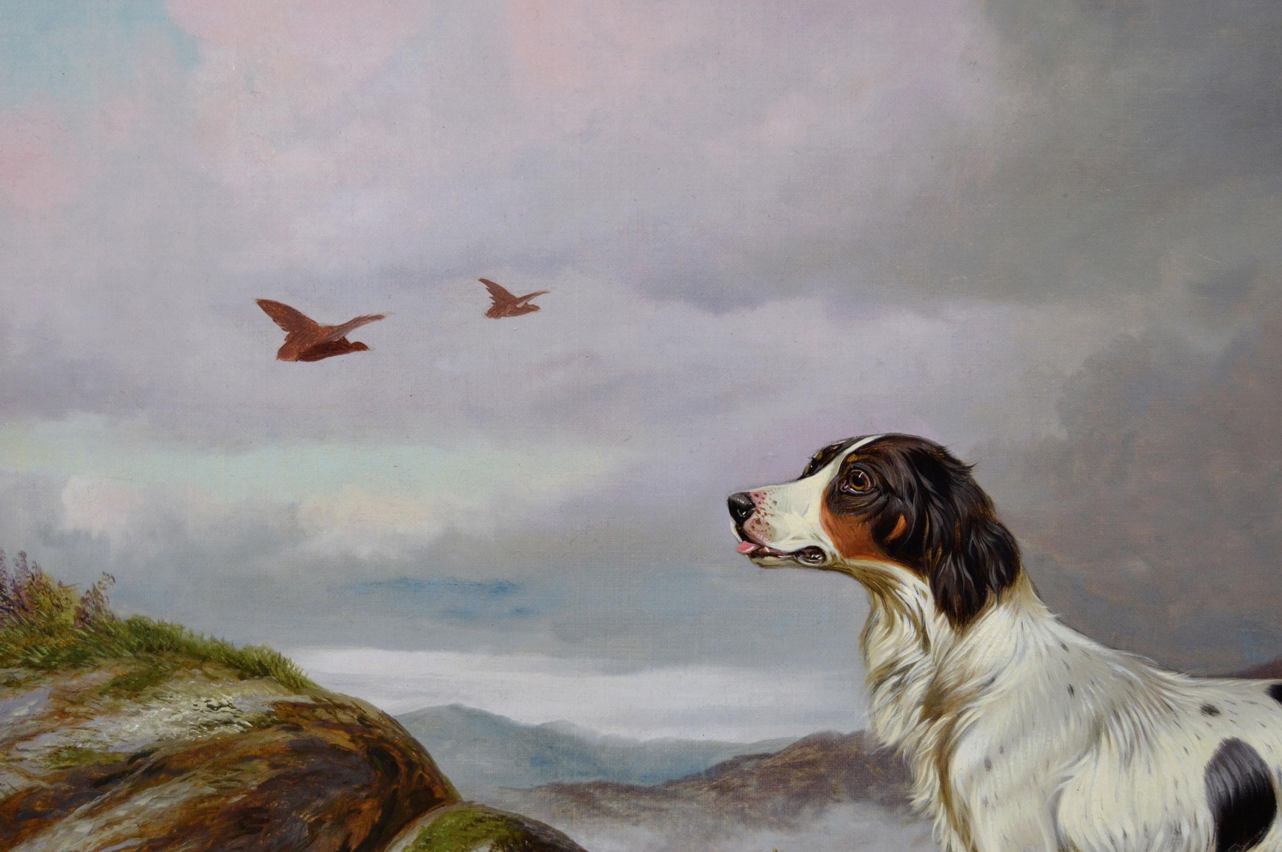 Colin Graeme Roe - 19th Century sporting dog oil painting of a setter ...