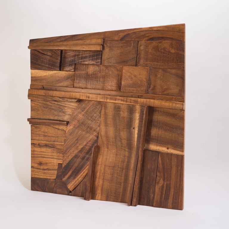 Natural Parota Wood Randomly Composed Art Wall Covering, Acoustic ...