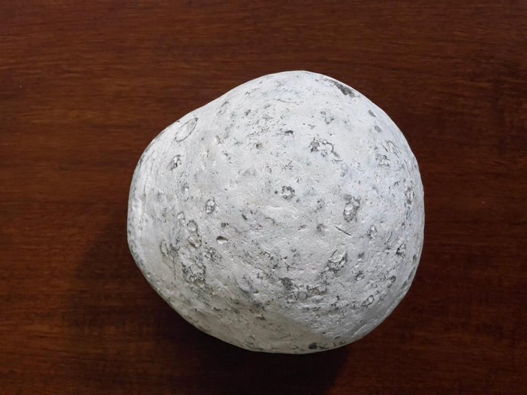 Collected Sculptural Danian-Aged Round Stone Formed 63 Million Years ...