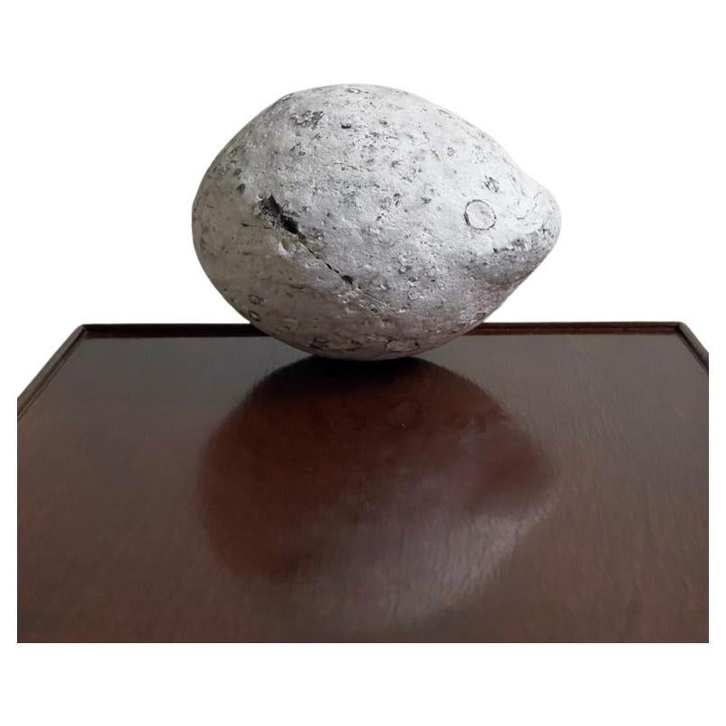 Collected Sculptural Danian-Aged Round Stone Formed 63 Million Years ...