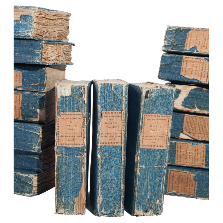 Collection of 20 Antique French Blue Buffon Books For Sale at 1stDibs
