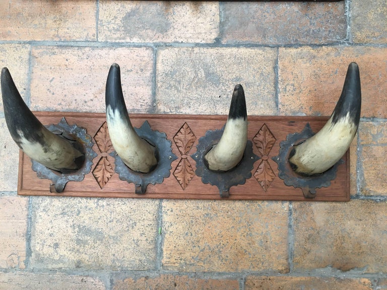 Collection of Six Artisanal Horn Coat Racks, Ideal for Decoration of ...