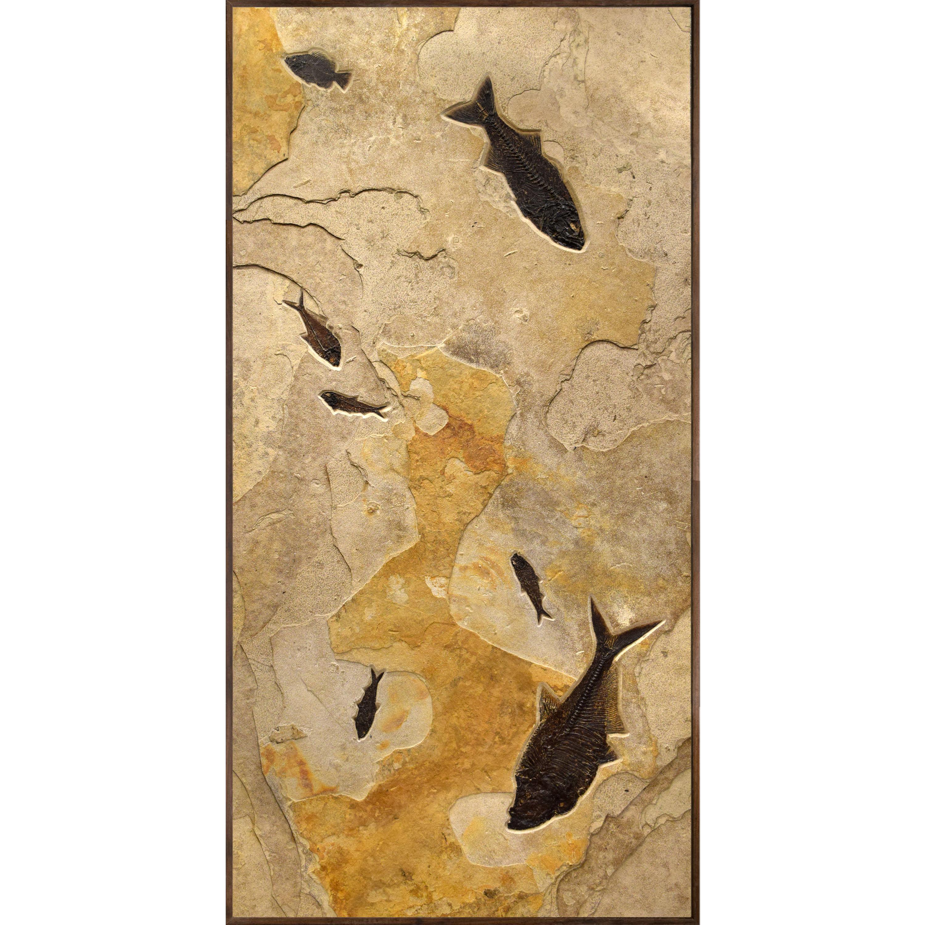 Collection of Five Green River Fossil Murals For Sale at 1stDibs