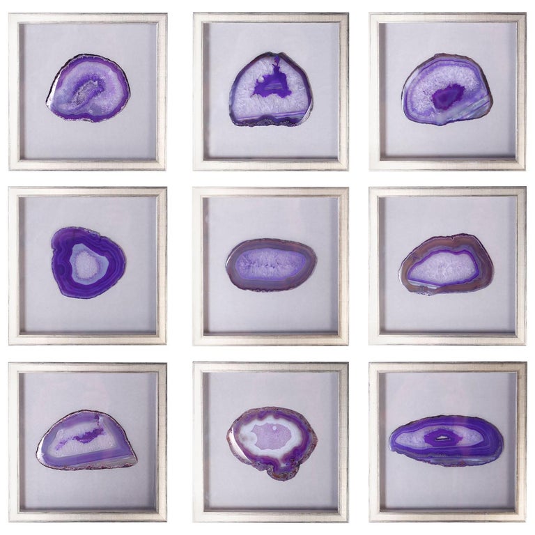 Collection of Nine Framed Agate Specimens For Sale at 1stDibs
