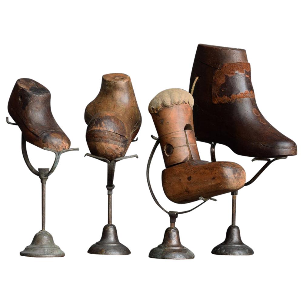 Collection of Rare Early 20th Century Mounted Medical Shoe Last Forms ...