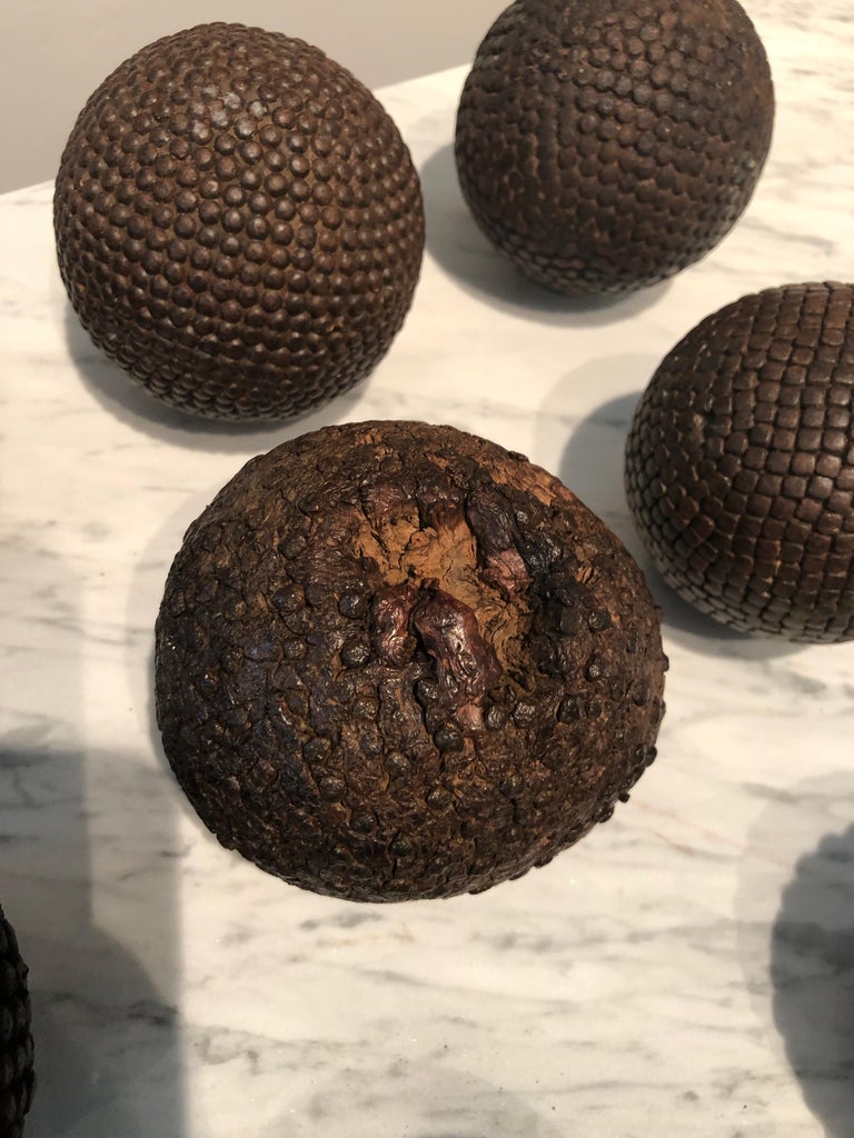 Collection of Twelve 19th Century French Iron-Studded Pétanque Boules ...