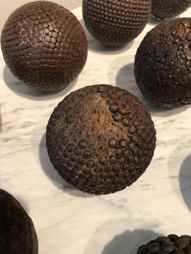 Collection of Twelve 19th Century French Iron-Studded Pétanque Boules ...