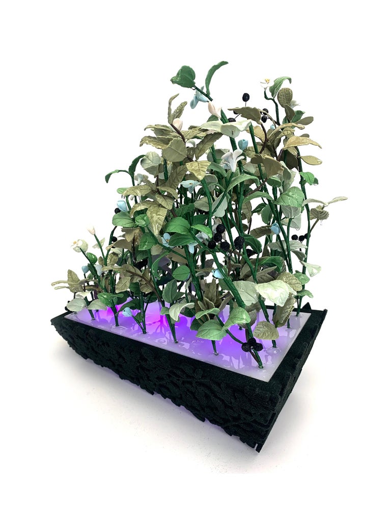 Colleen Toledano - Contemporary Sculpture Installation Still Life Flora Light Botanical ...