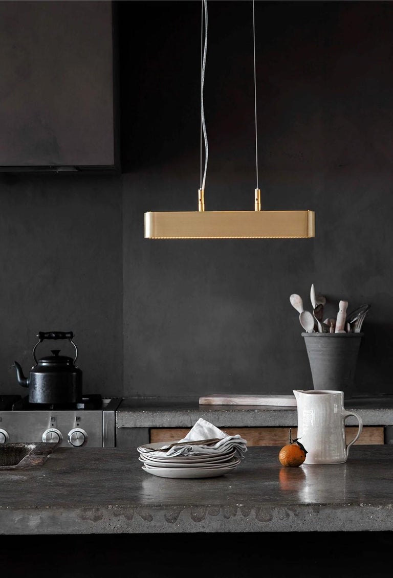 Colt Pendant Light Single by Bert Frank For Sale at 1stDibs