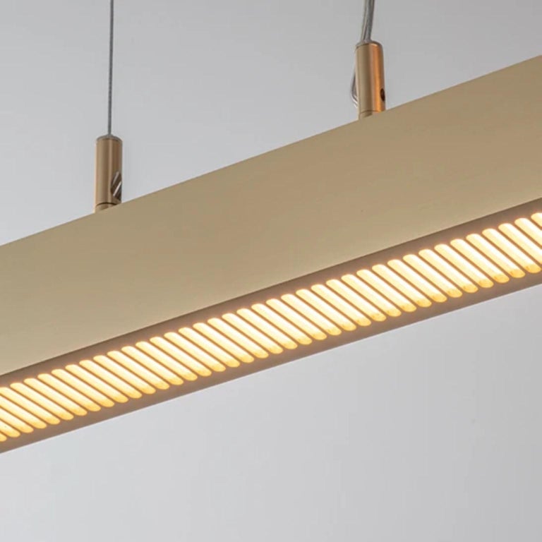 Colt Pendant Light Single by Bert Frank For Sale at 1stDibs