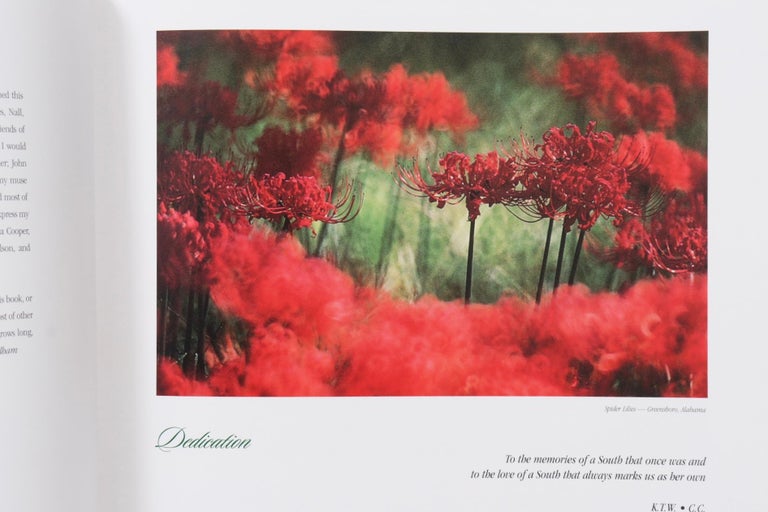 Common Threads, Photographs and Stories from the South For Sale at 1stDibs