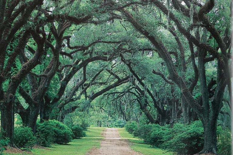 Common Threads, Photographs and Stories from the South For Sale at 1stDibs