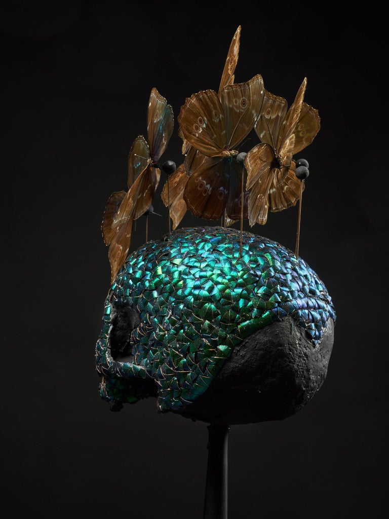 Composition of a Plaster Skull Decorated with Butterflies at 1stDibs