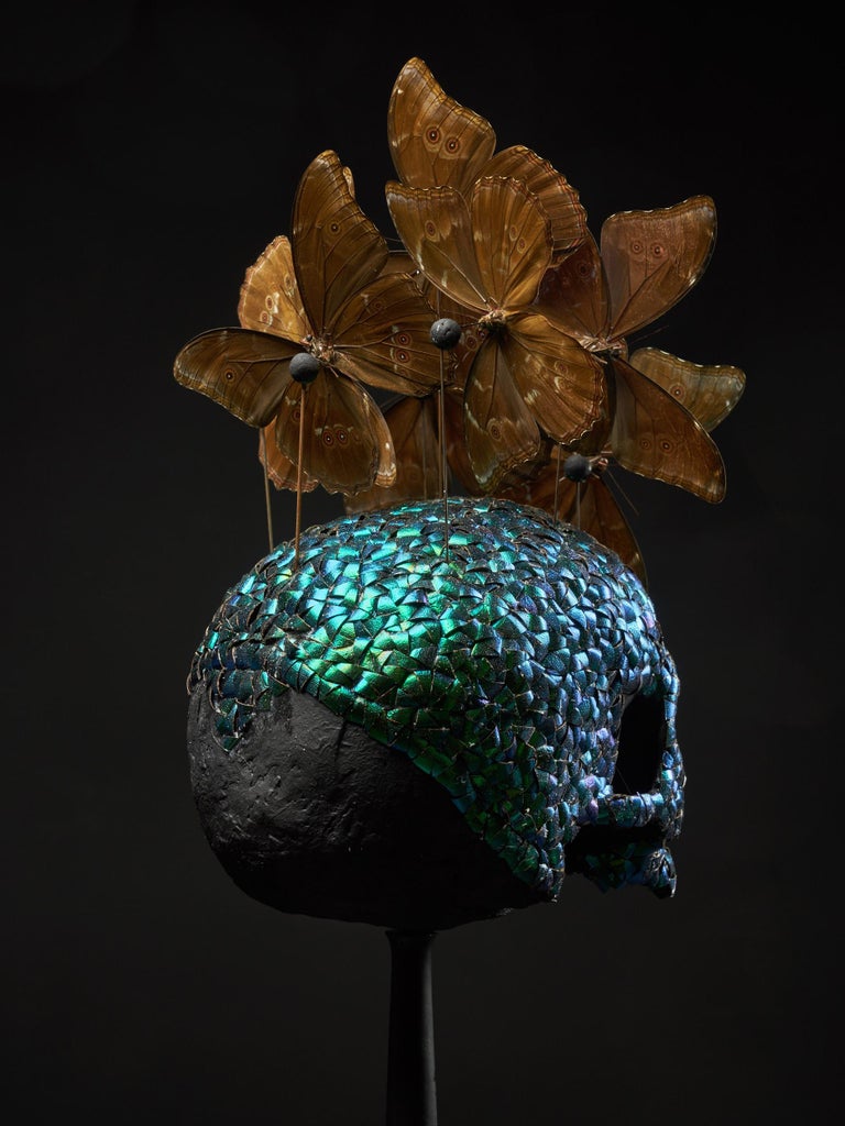 Composition of a Plaster Skull Decorated with Butterflies at 1stDibs